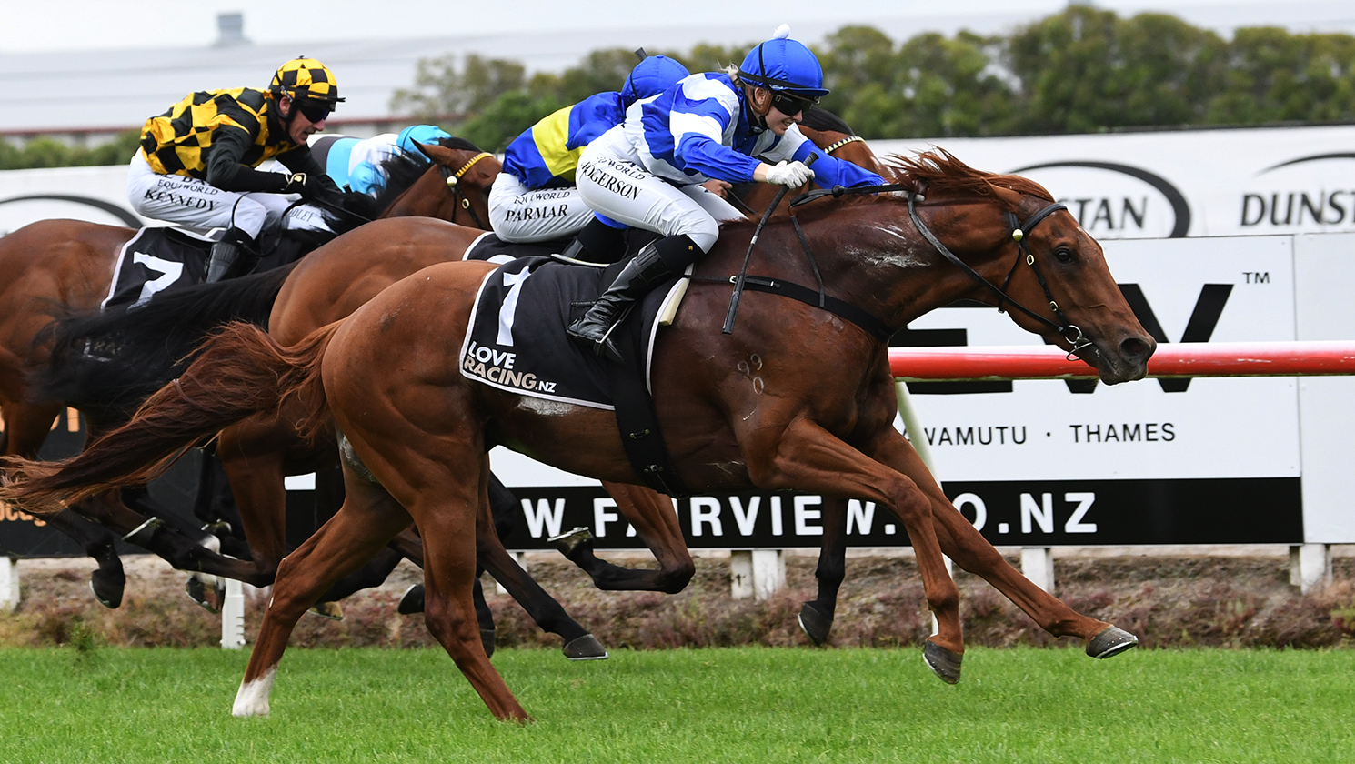 Just As Sharp (NZ) Puts Rogersons Back in 3YO Spotlight | New Zealand ...