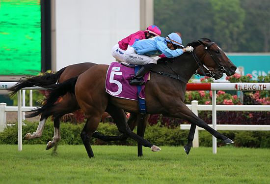 January (NZ) Too Swift in Singapore 3YO Sprint | New Zealand Bloodstock ...