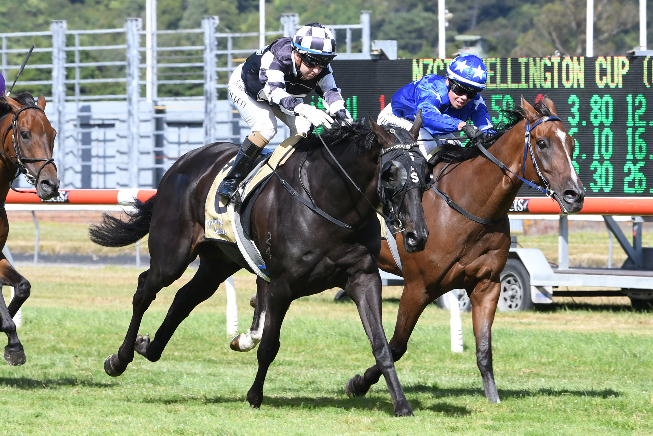 Wellington Cup Triumph for Waisake (NZ) | New Zealand Bloodstock ...