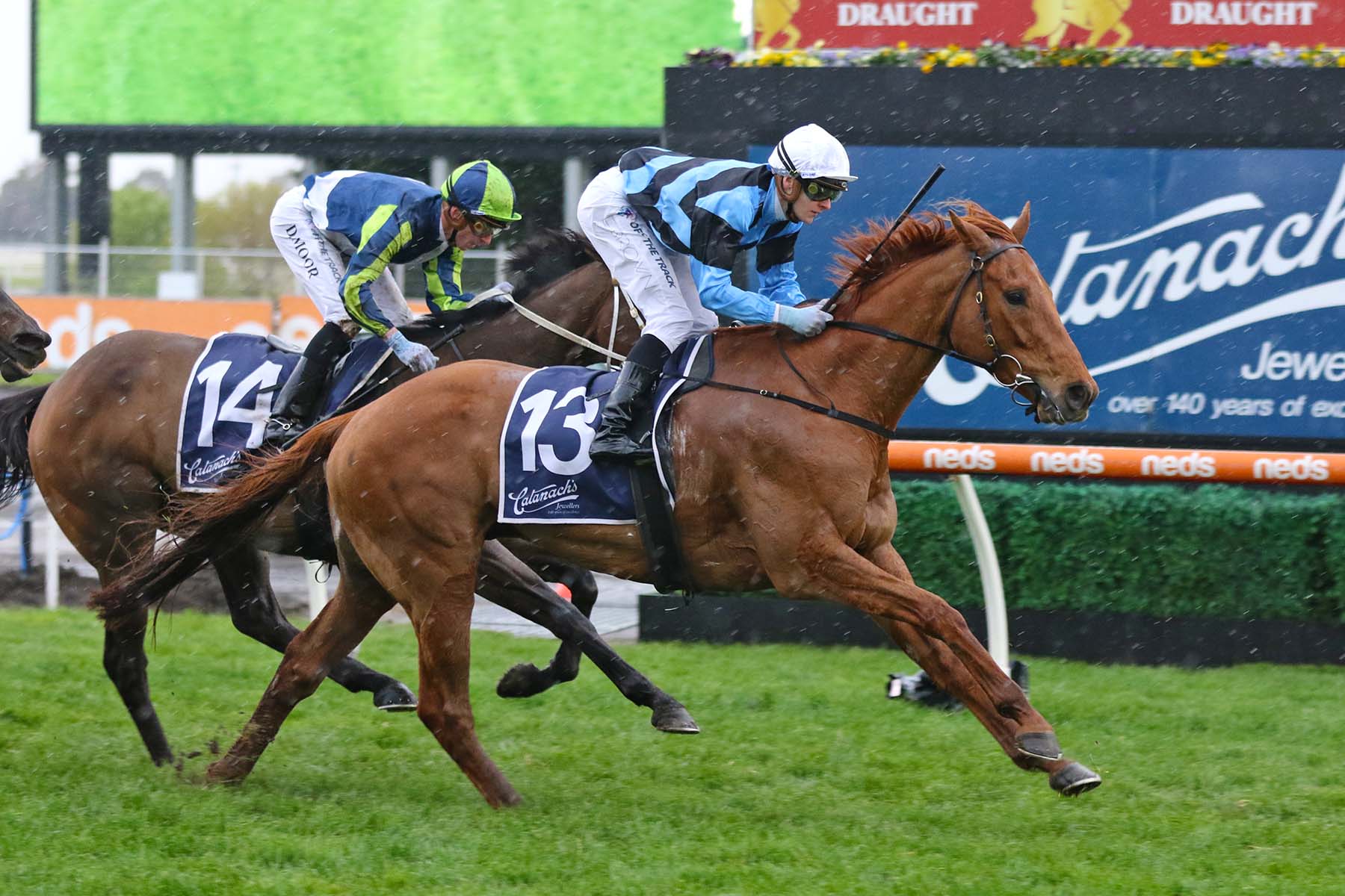 Caulfield Cup Awaits Smokin’ Romans | New Zealand Bloodstock ...
