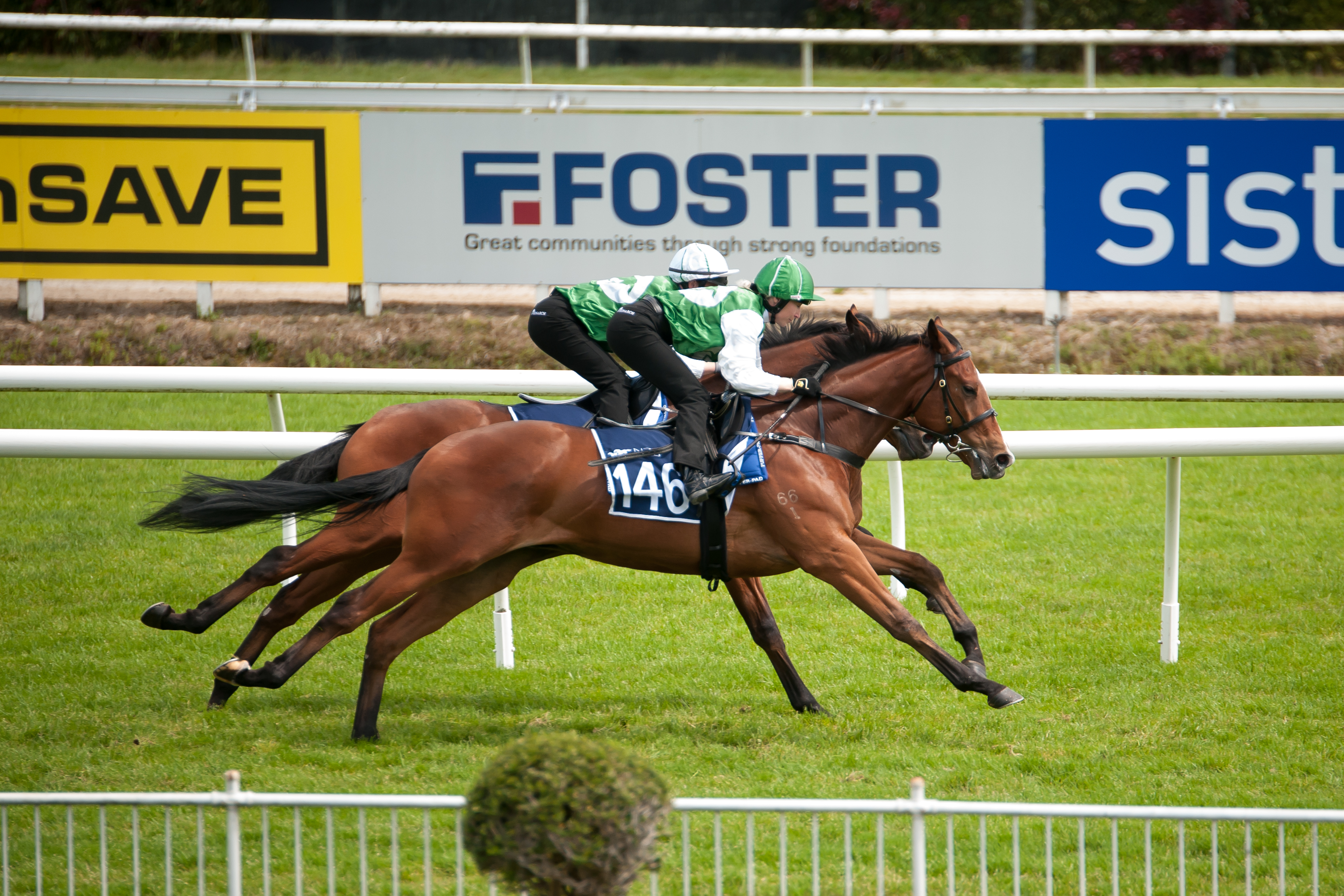 Entries Open for the World’s Best Breeze Up Sale | New Zealand ...